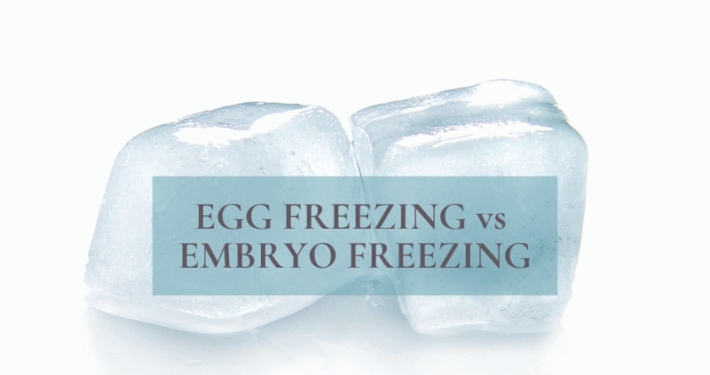 Egg vs Embryo Freezing | Your Fertility Preservation Options | Aria