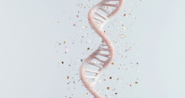 Genetic screening in IVF explained - Aria Fertility